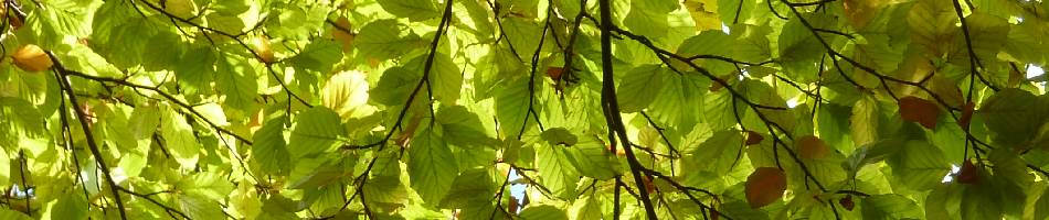 How to read binary barcode data - bardecode.com