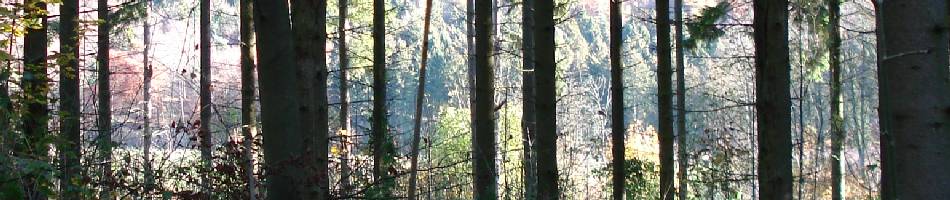 interface Archives - bardecode.com